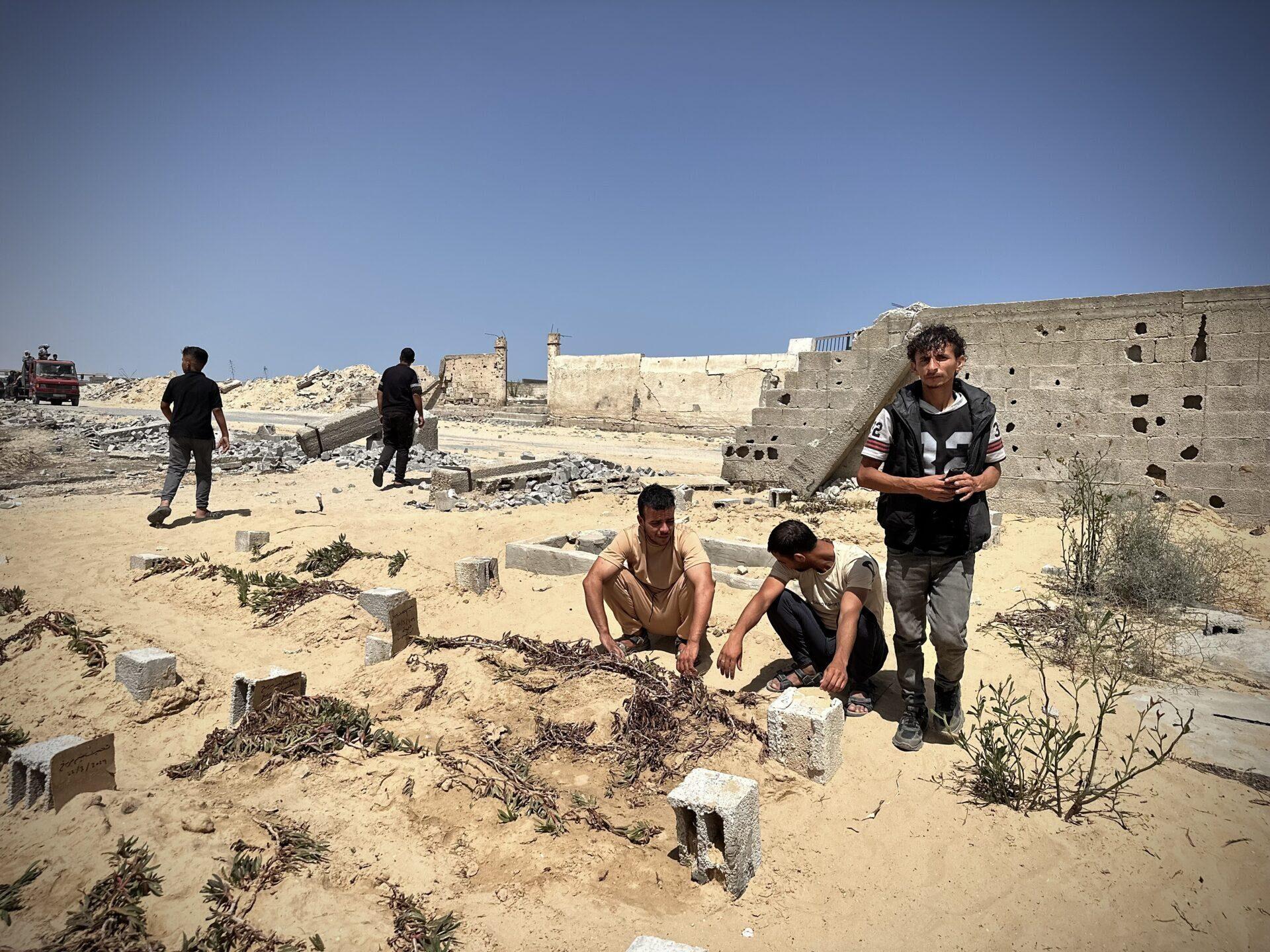 Israel's ban on entry of sacrificial animals deprives Gazans of Eid al ...