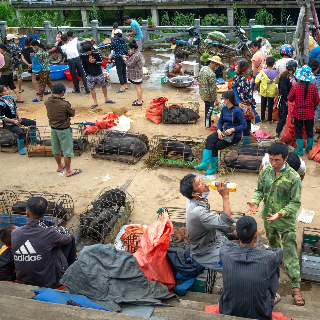 Imperial Zenana Mosque and Sikh-era temple restored in Pakistan ...